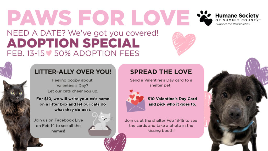 Paws for Love - Summit County Humane Society